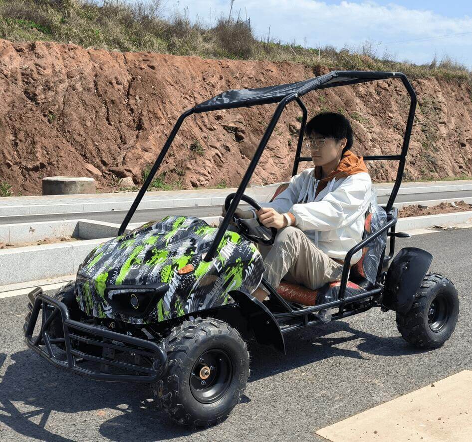 2 seater electric go kart with battery power for sa - Dudu